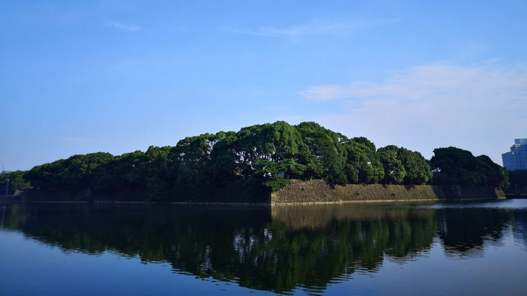 HOME - DAIKYU realty